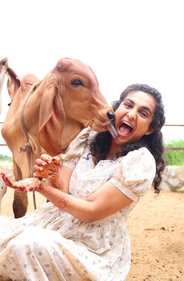 Kinaya Organic Farms – Order Pure Gir Cow A2 Ghee, Gir Cow A2 Milk ...