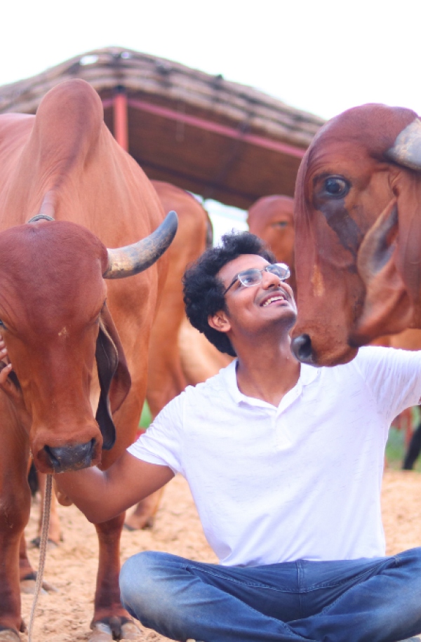 Kinaya Organic Farms – Order Pure Gir Cow A2 Ghee, Gir Cow A2 Milk ...